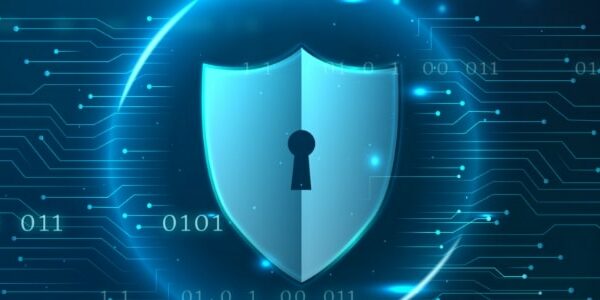 ThreatLocker Is Locking Out Ransomware, Providing ‘Peace Of Mind’ For ...